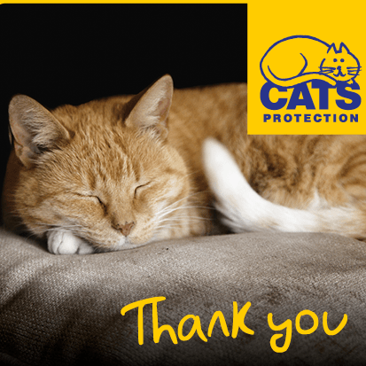Cats Protection Ipswich Fundraising | Easyfundraising
