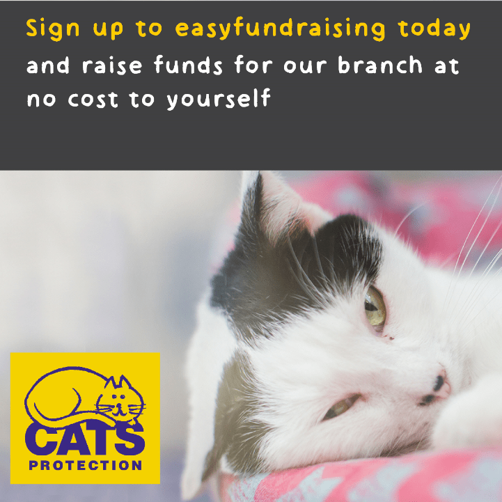 Cats Protection Strathspey Branch Fundraising | Easyfundraising