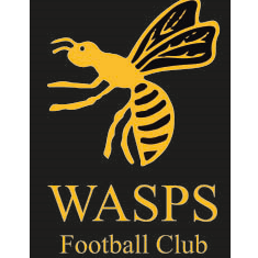 Wasps FC Fundraising | Easyfundraising
