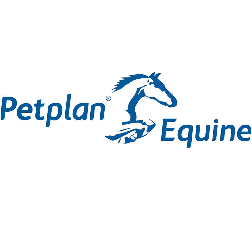 Pet Insurance deals | Fundraising | Easyfundraising